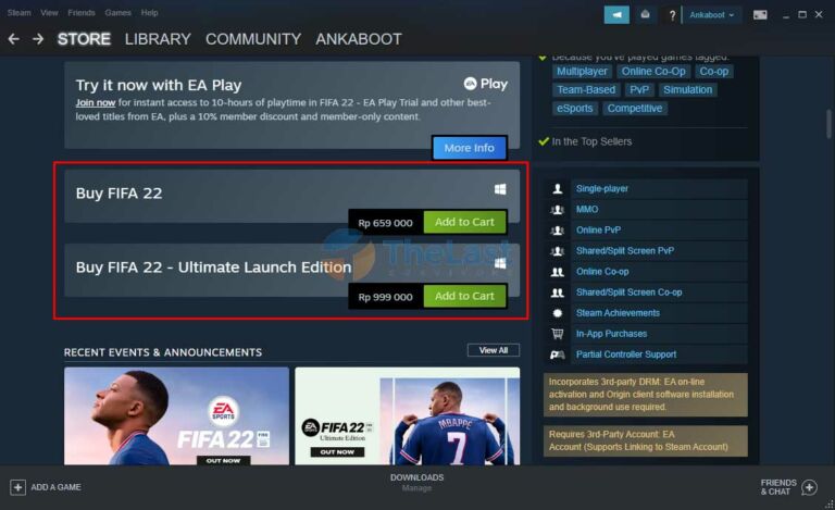 Cara Beli Game di Steam (Steam Wallet, Kartu Kredit & DANA)