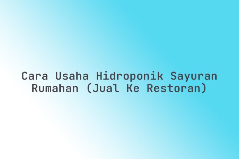 √ Cara Usaha Hidroponik Sayuran Rumahan (Jual ke Restoran ...