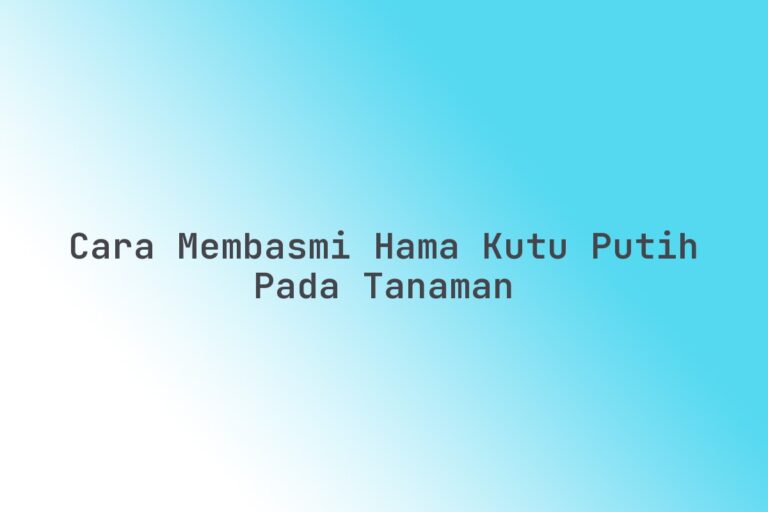 √ Cara membasmi hama kutu putih pada tanaman - Thelastsurvivors
